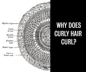 Curls Week - Why does curly hair curl? - Hair Romance